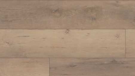 Coretec Pro Plus Xl Enhanced Vinyl Floor