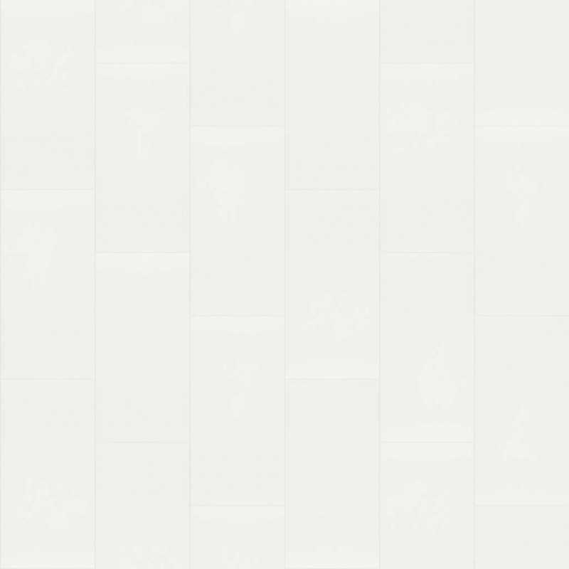 Diva 24 x 24 Polished Shaw Porcelain Tile